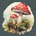 Watercolor Toadstools PNG Clipart DIGITAL DOWNLOAD - Etsy