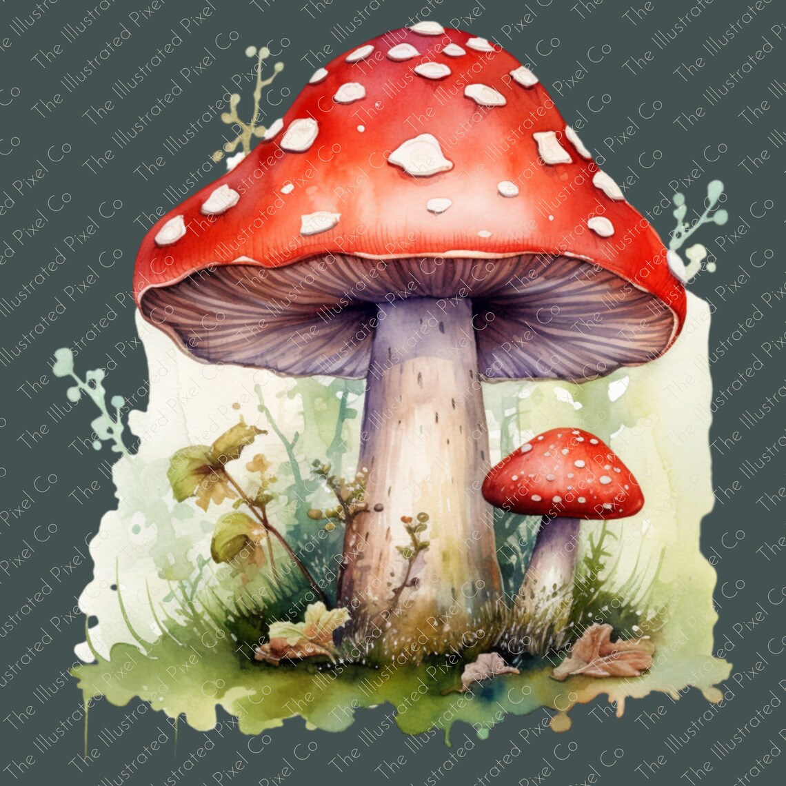 Watercolor Toadstools PNG Clipart DIGITAL DOWNLOAD - Etsy