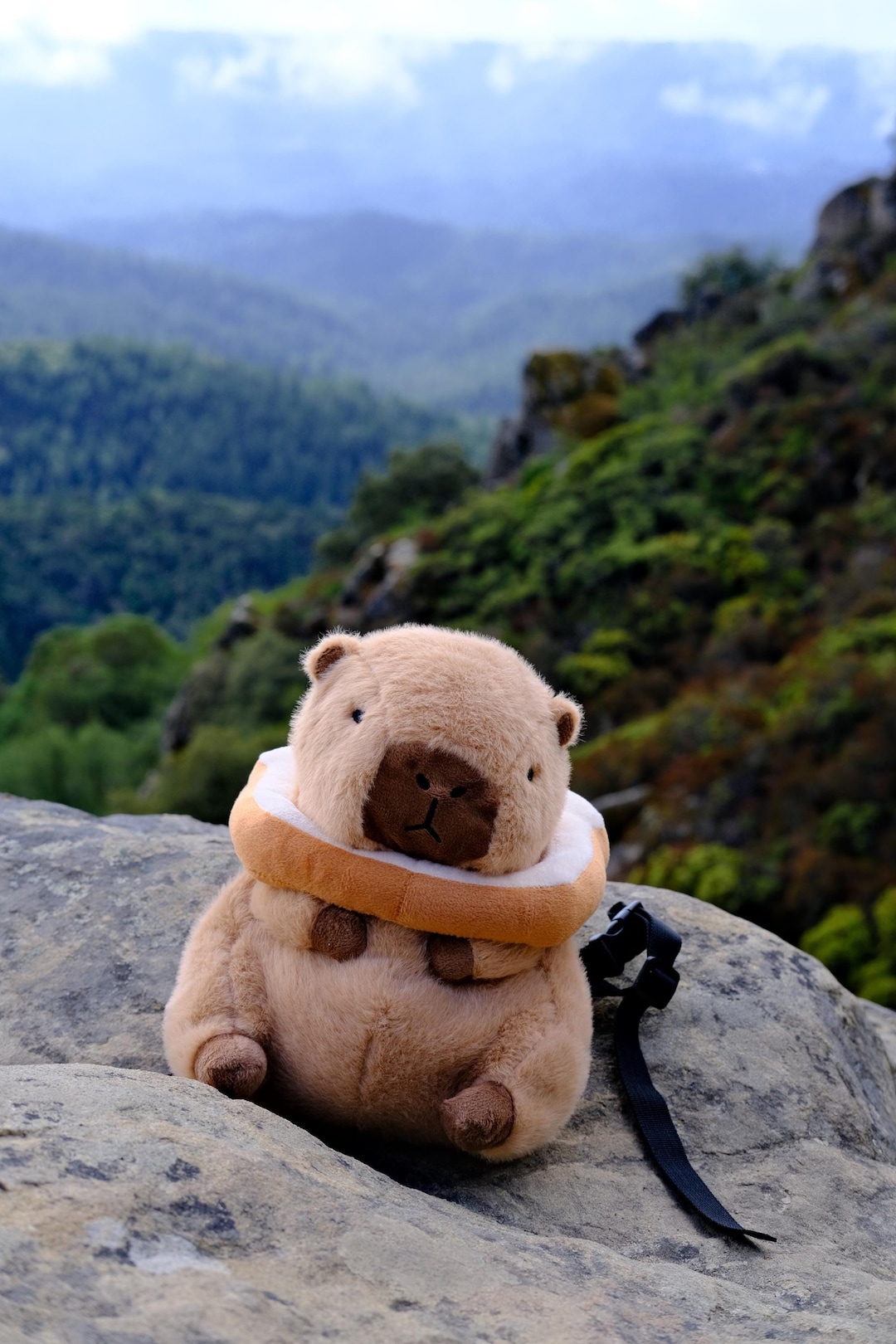 Capybara Bread Chalk Bag - Etsy