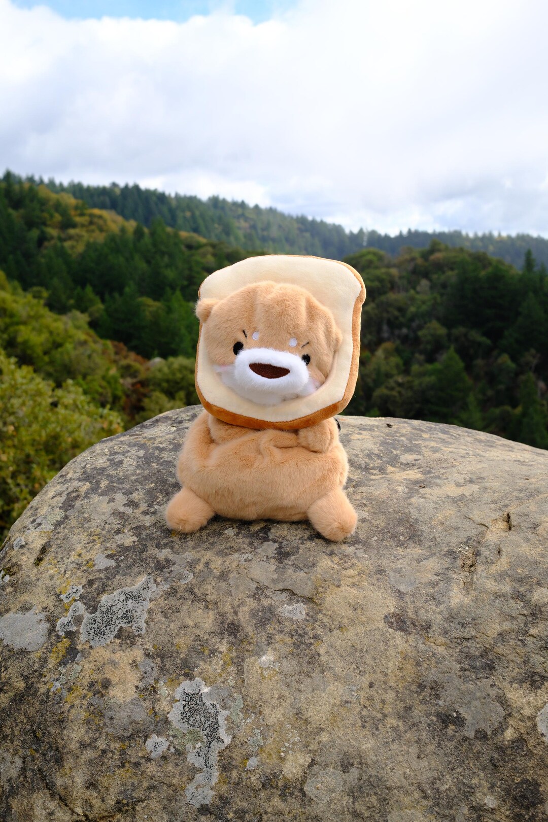 Otter X Bread Chalk Bag (light) - Etsy