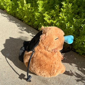 Capybara Chalk Bag W/ Turtle - Etsy