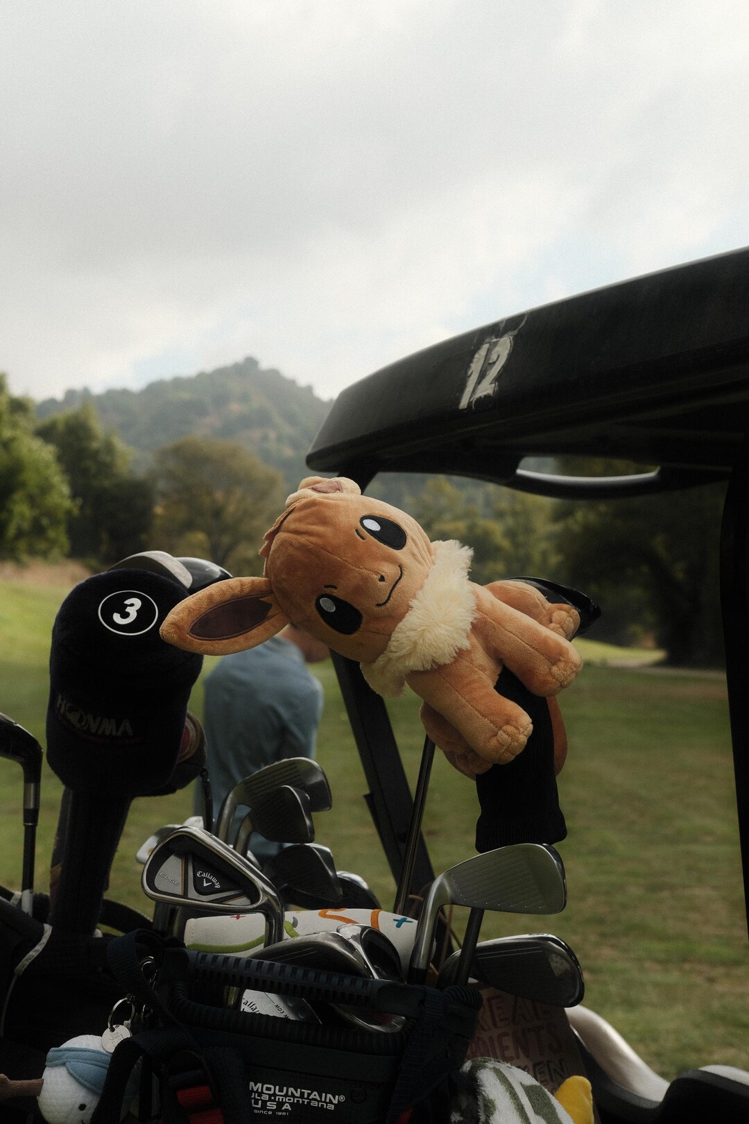 Eevee Pokemon Hybrid Golf Head Cover - Etsy
