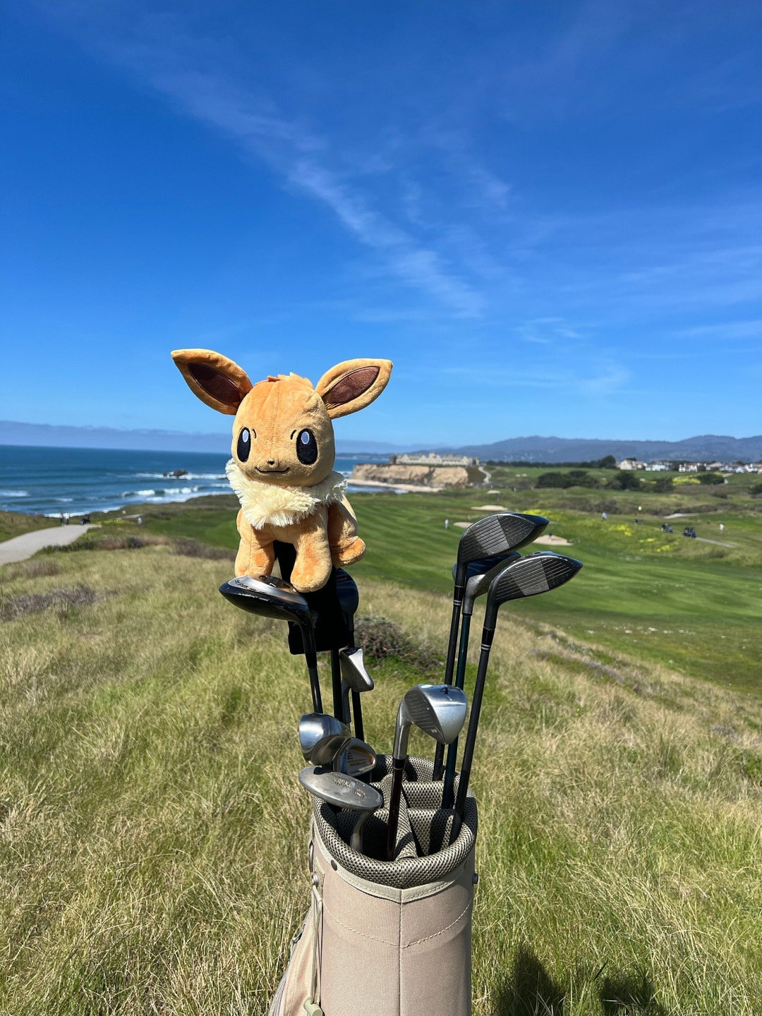 Eevee Pokemon Hybrid Golf Head Cover - Etsy