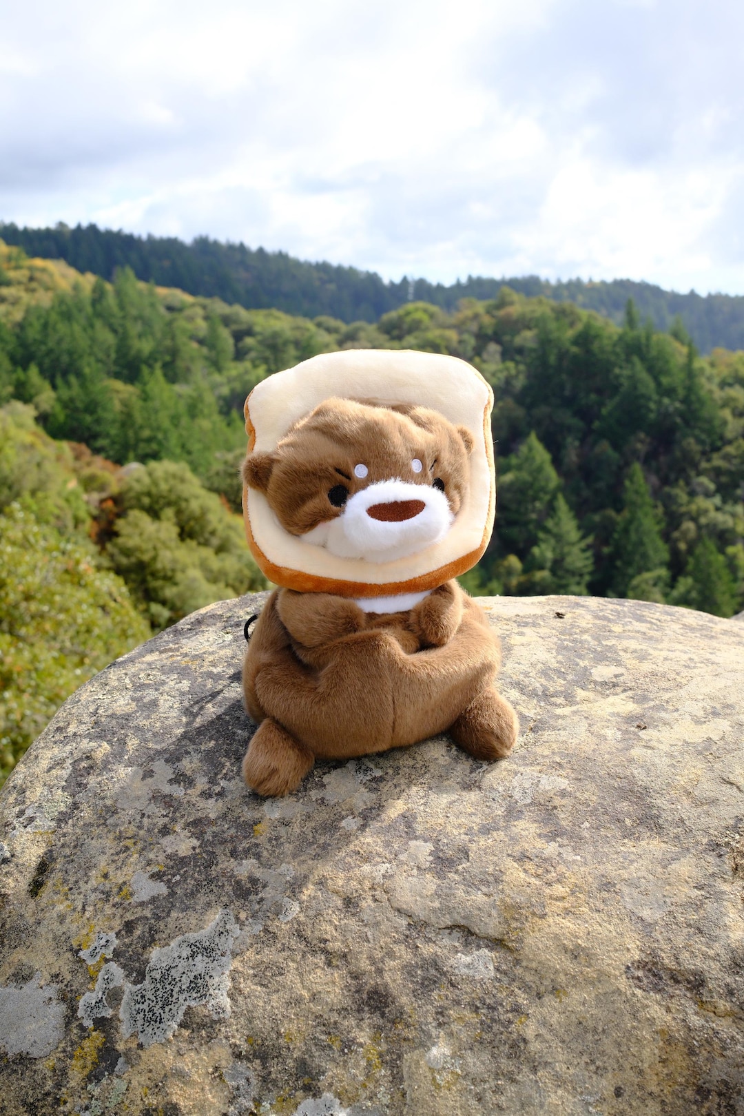 Otter X Bread Chalk Bag (dark) - Etsy