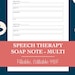 SOAP Note (multi) for Speech Therapy (editable, Fillable, Printable PDF ...
