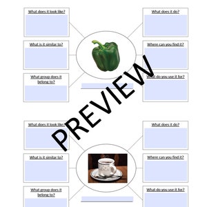 Semantic Feature Analysis Worksheet for Speech Therapy (editable ...