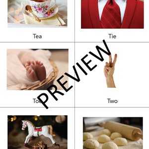 Alveolar CV Words Worksheet for Apraxia for Speech Therapy (editable ...