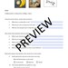 Intro to WH Questions Worksheet for Speech Therapy (editable, Fillable ...