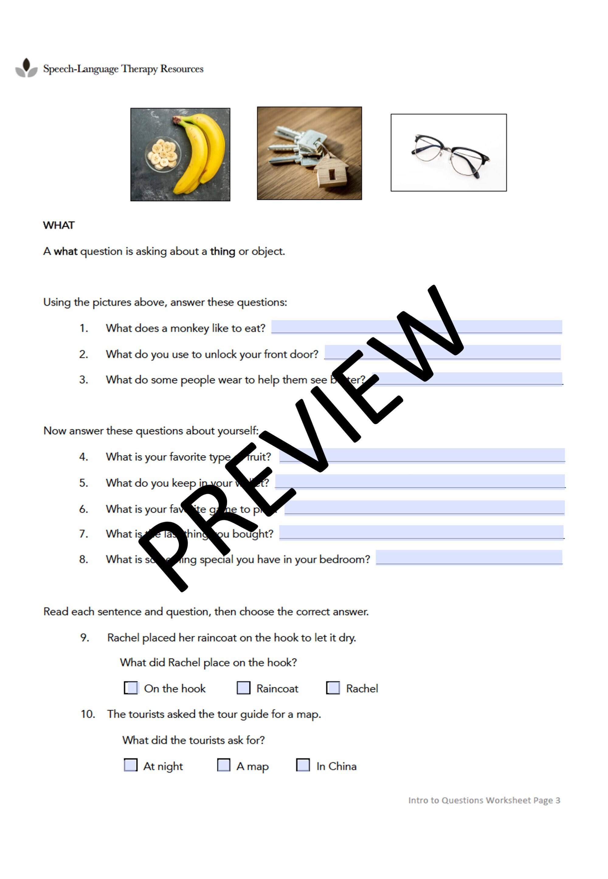 Intro to WH Questions Worksheet for Speech Therapy editable - Etsy