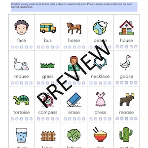 Final /S/ Words in Pictures Worksheet for Speech Therapy (editable ...