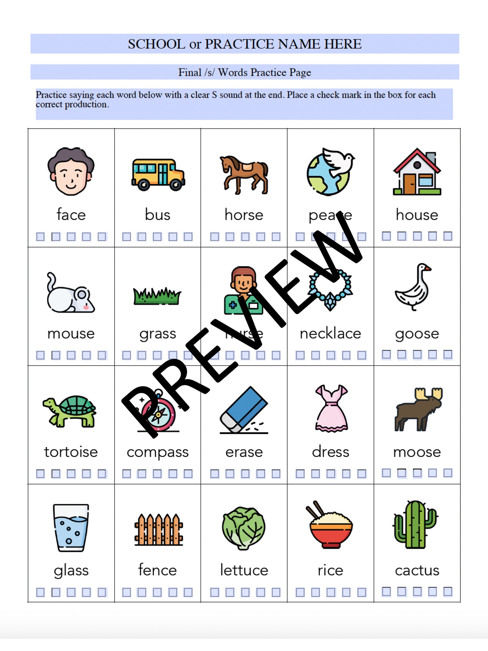 Final /S/ Words in Pictures Worksheet for Speech Therapy editable ...