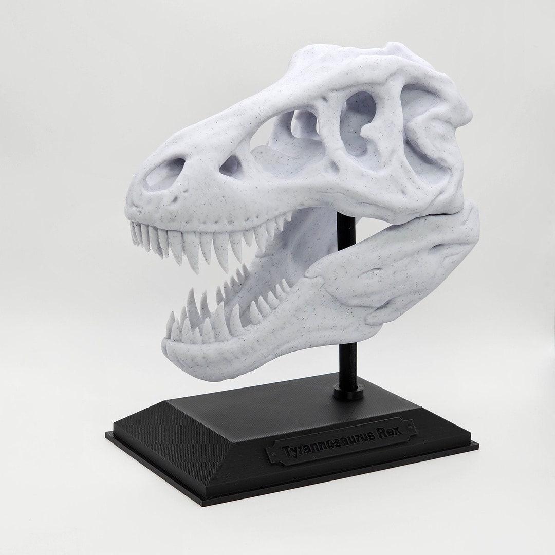 Tyrannosaurus Replica / T-rex / Personalize in Your Color of Choice - Etsy