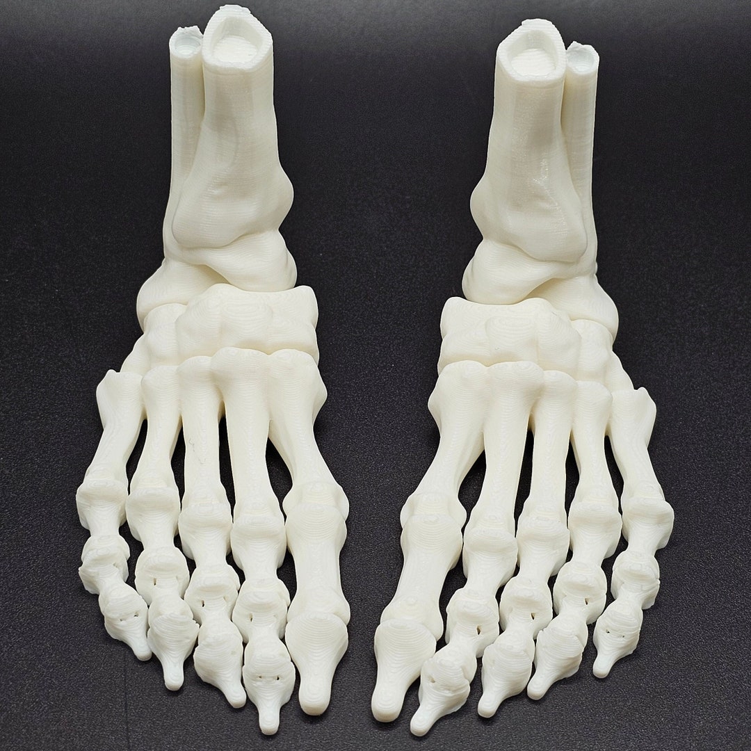 Flexi Skeleton Feet / Fidget Toy / Sensory (pair or Single) - Etsy