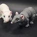 Articulated Rat / 3D Printed / Sensory Fidget Toy - Etsy