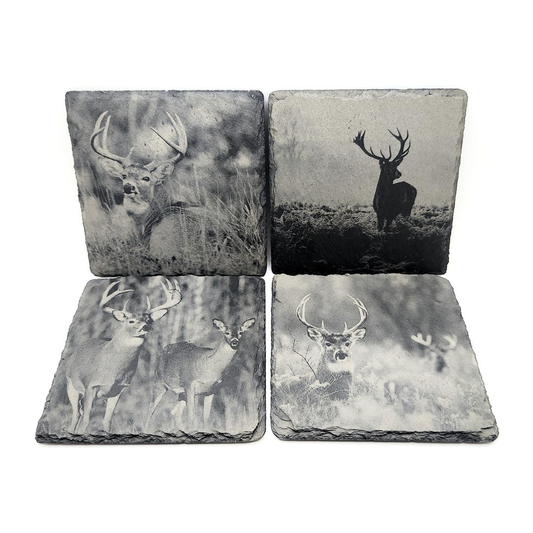 Wildlife Series Whitetail Deer Laser Engraved Slate Coaster Sets of 4 ...