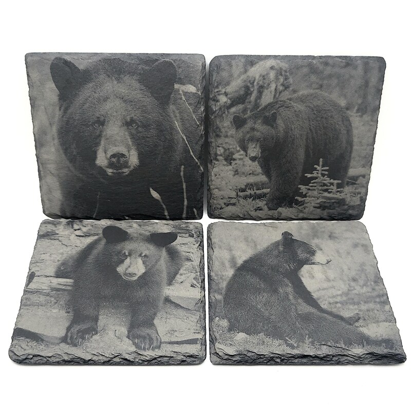Bear Coasters - Etsy