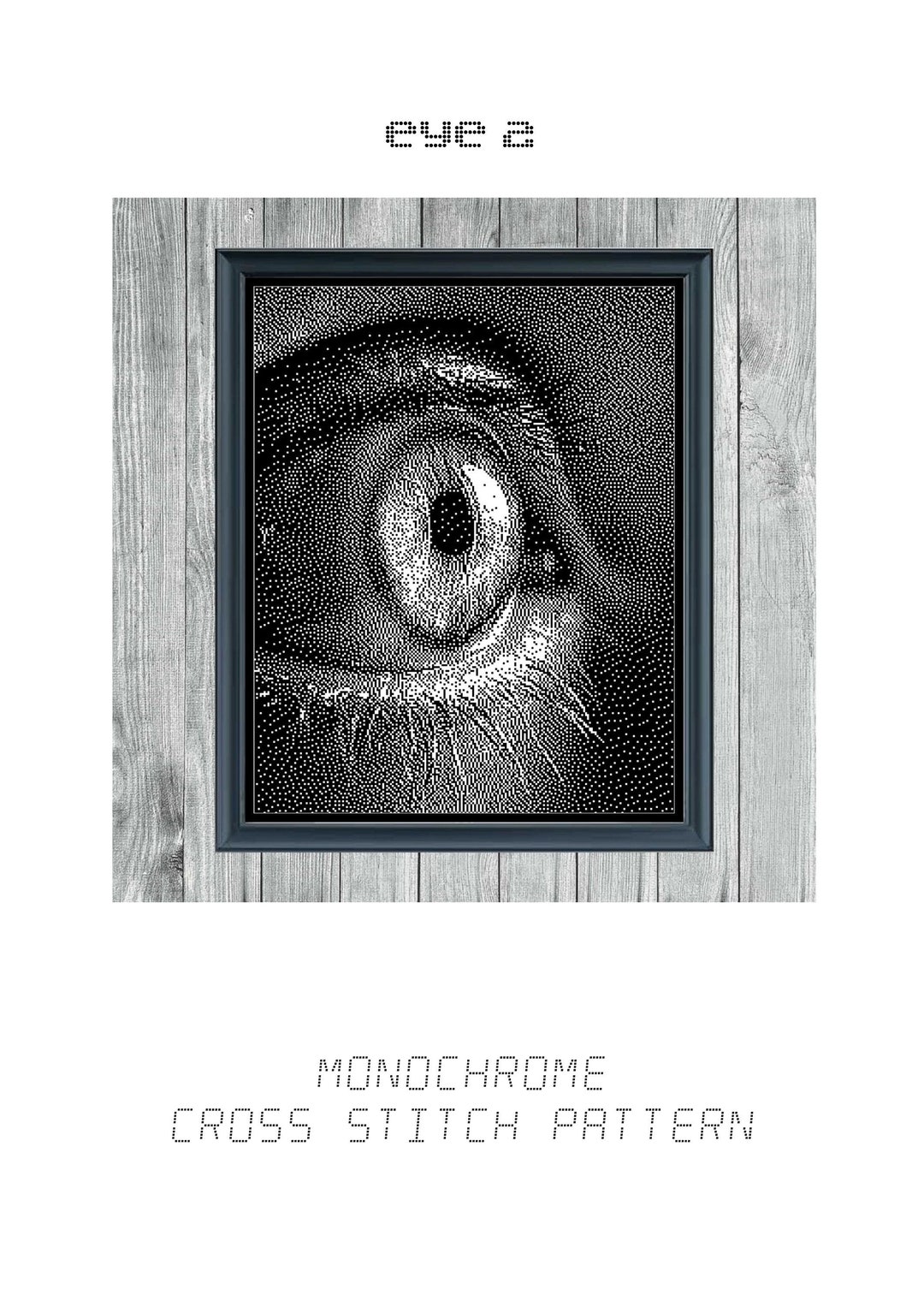 Eye 2 - Elegant Monochrome Cross Stitch Download - DIY Crafting - Etsy