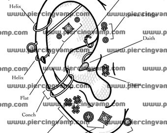 Printable Ear Seed Placement Chart Comprehensive Acupuncture Ear Chart ...
