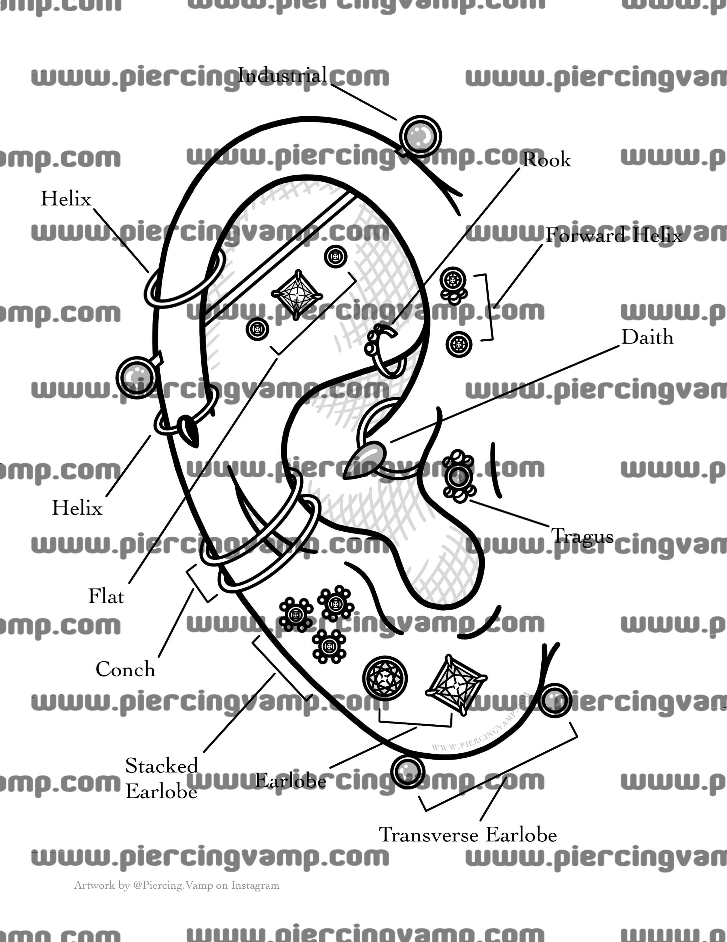 Ear Piercing Chart - Etsy
