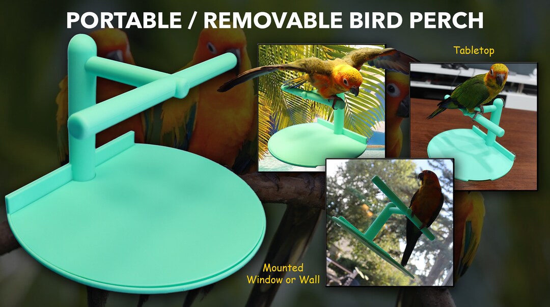 Bird Perch Modular Portable Parrot Perch for Window Wall or Table With ...