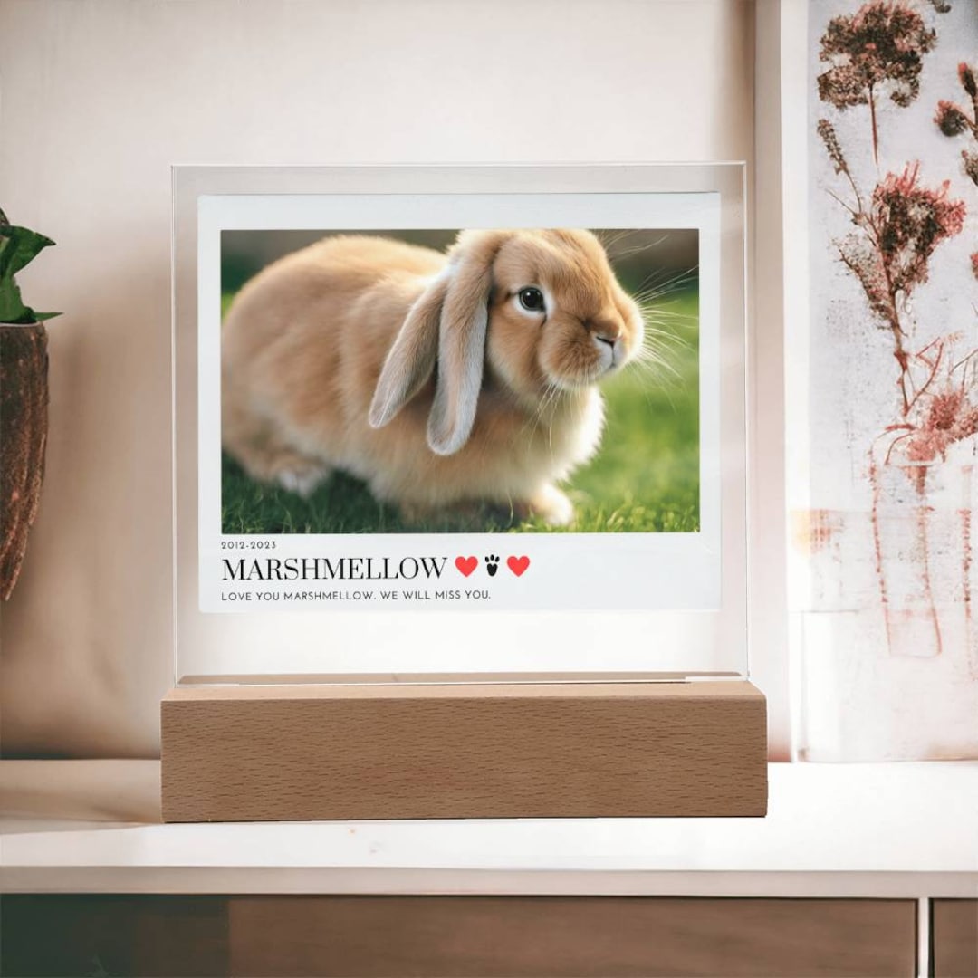 Bunny Memorial Rabbit Memorial Custom Pet Memorial Bunny Rabbit ...