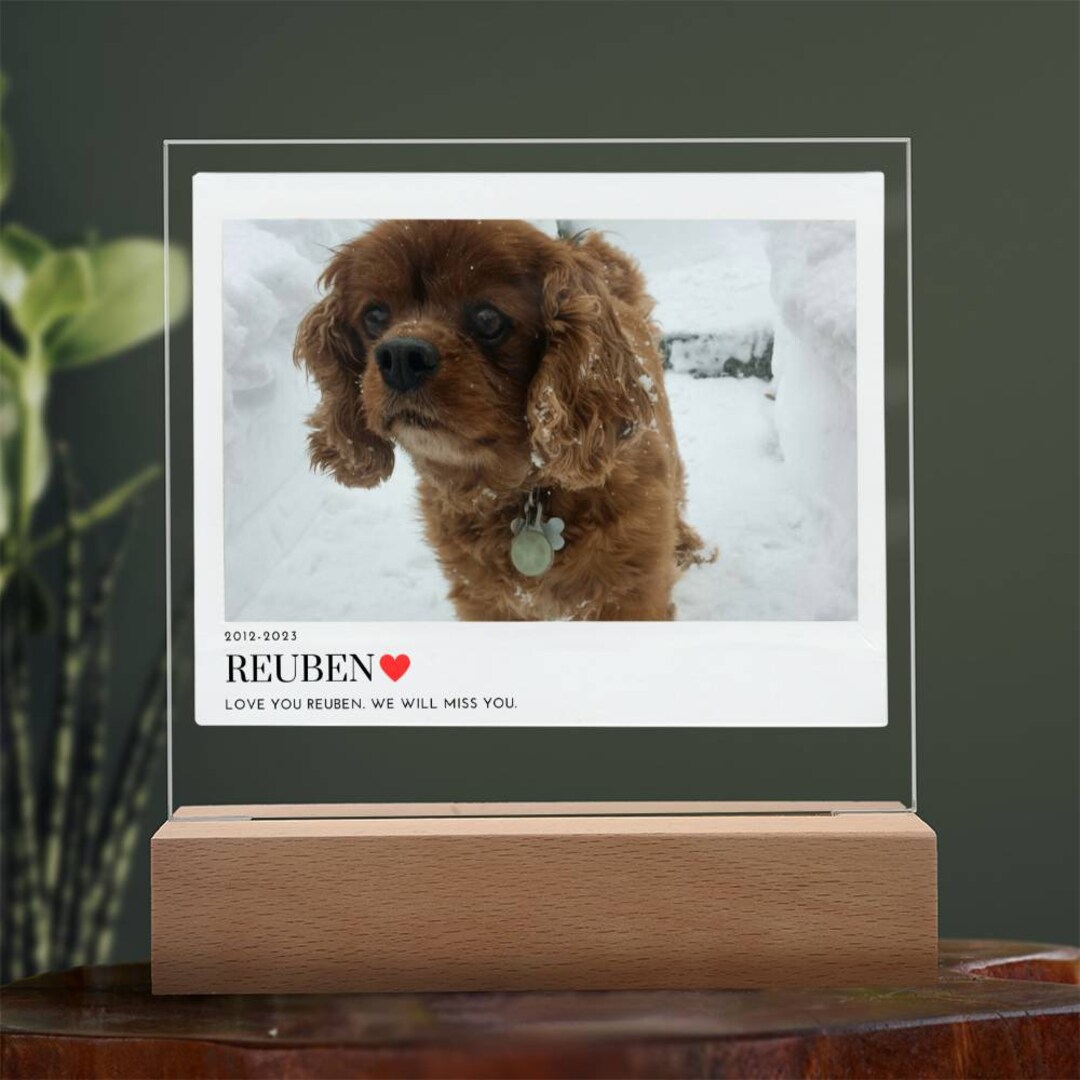 Dog Memorial Custom Pet Memorial Personalized Dog Tribute Photo Tribute ...