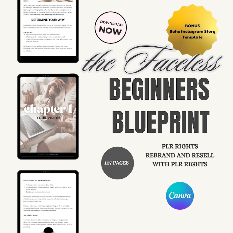 Faceless Digital Marketing Guide: Master Resell Rights, Lead Magnet ...