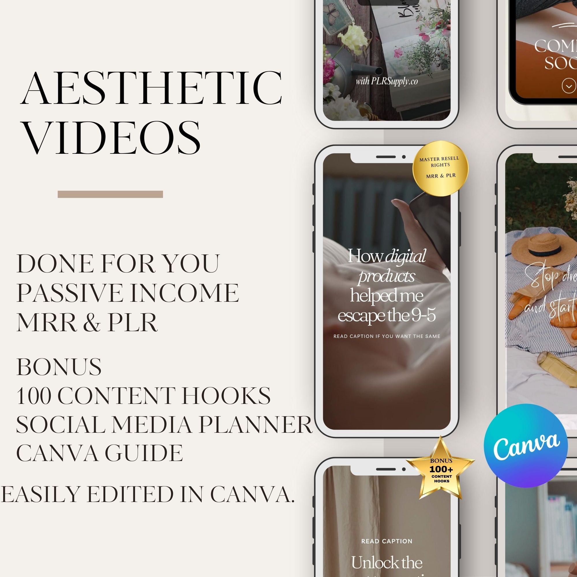 Faceless Instagram, Videos, Aesthetic Videos,master Resell Rights, MRR, Done for You, PLR, Story ...