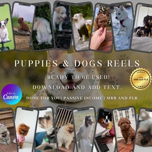 Dogs & Puppies Faceless Instagram Reels: MRR, PLR (digital Download) - Etsy