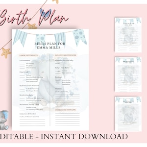 Editable Birth Plan Template | Printable Birthing Plan | Labour and ...