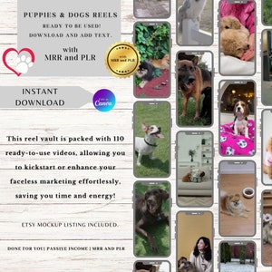 Dogs & Puppies Faceless Reels: Social Media Marketing Templates (MRR ...