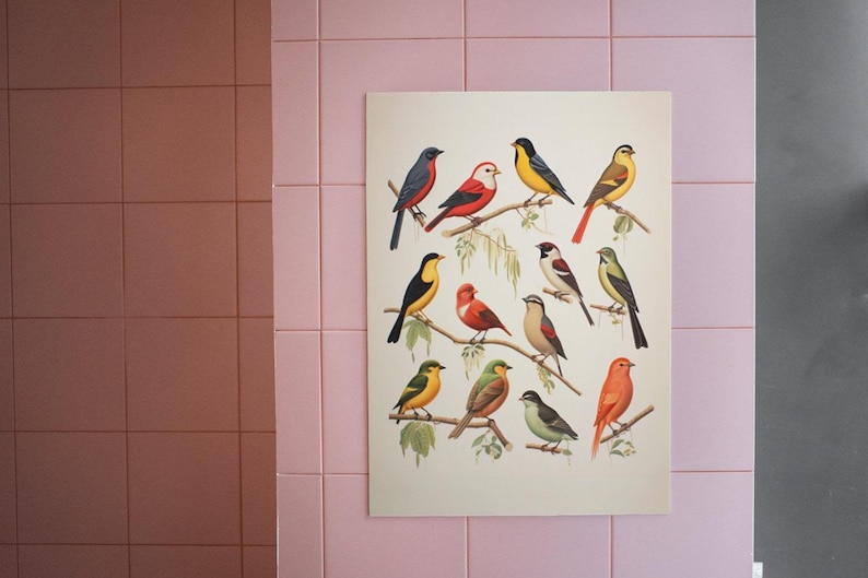 Bird Illustration Poster - Digital Download - Etsy