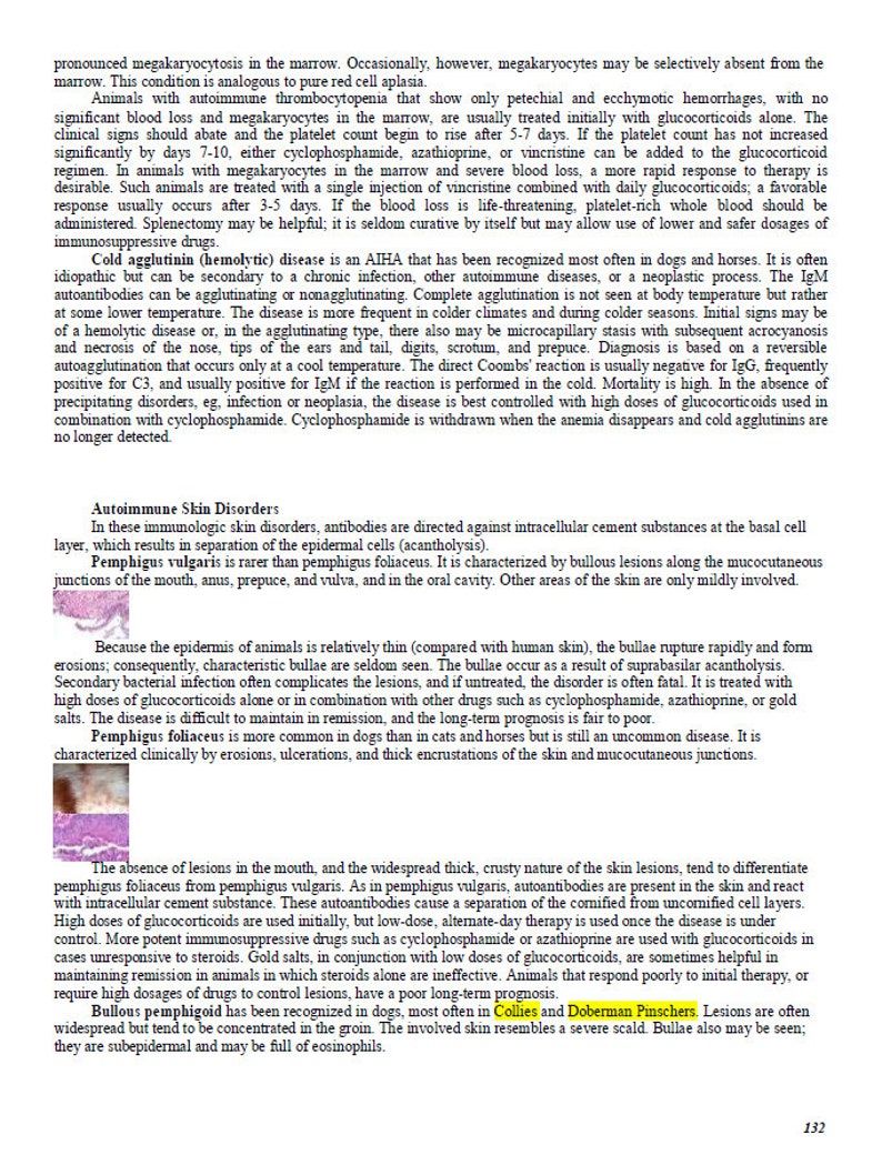 Comprehensive Vet School Notes Bundle Complete Study Companion for Vet ...