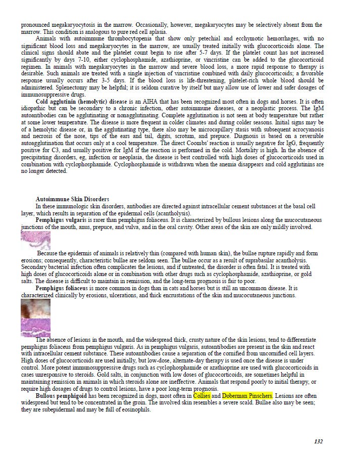 Comprehensive Vet School Notes Bundle Complete Study Companion for Vet ...