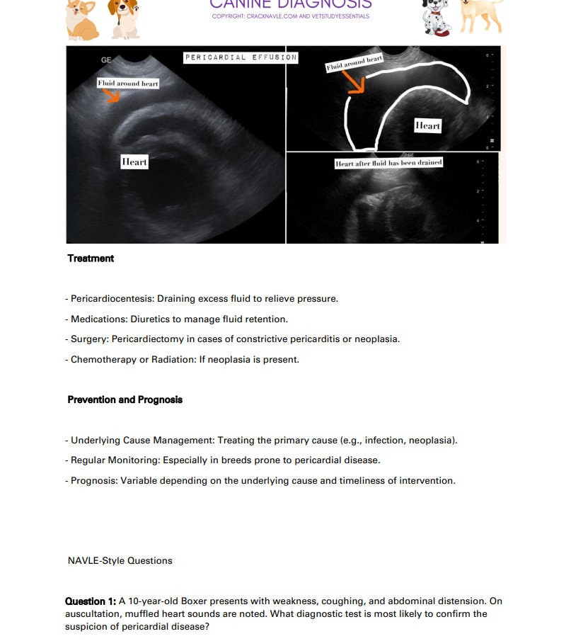 Canine Diagnosis for NAVLE Canine Diagnosis ICVA With 3 NAVLE Styled ...