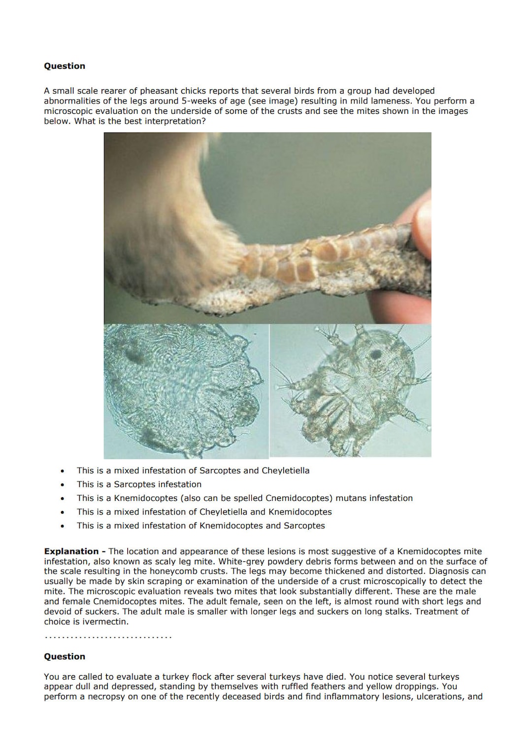 Ultimate Poultry NAVLE Questions Bank for NAVLE Prep Comprehensive ...