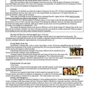 Comprehensive Vet School Notes Bundle Complete Study Companion for Vet ...