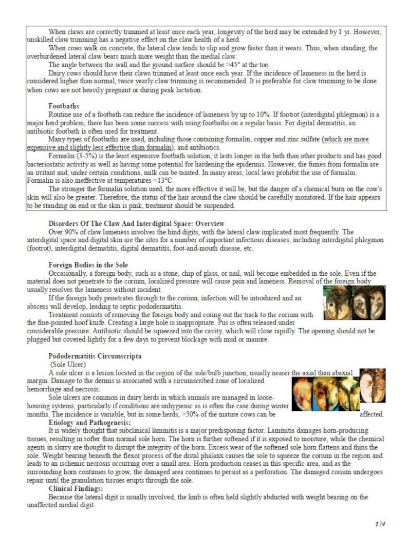 Comprehensive Vet School Notes Bundle Complete Study Companion for Vet ...