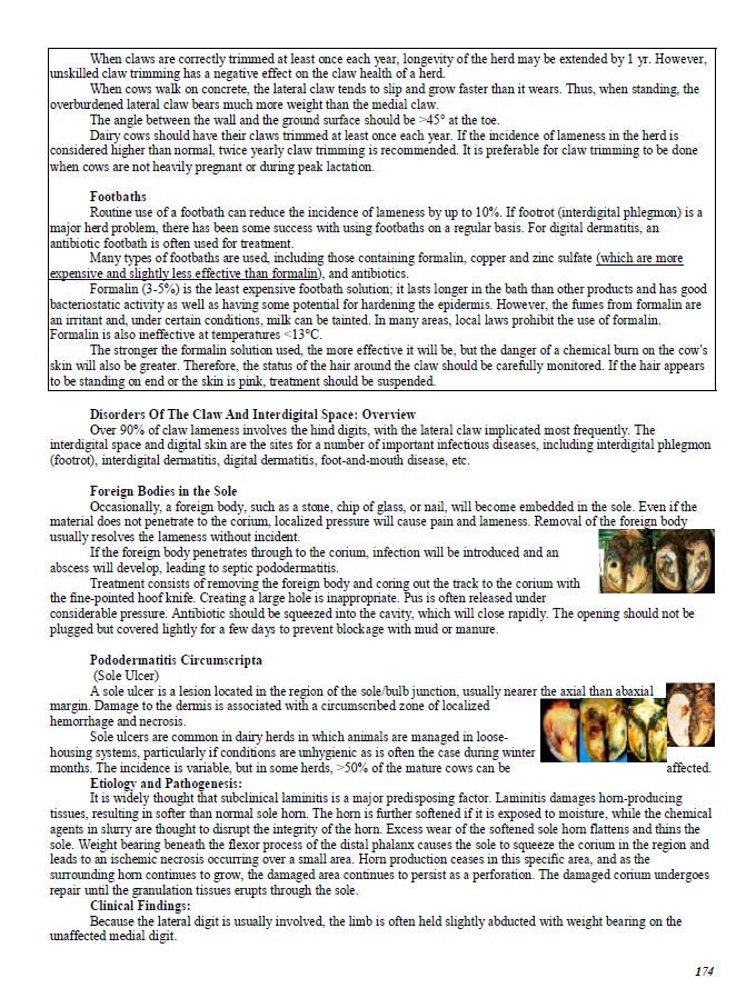 Comprehensive Vet School Notes Bundle Complete Study Companion for Vet ...