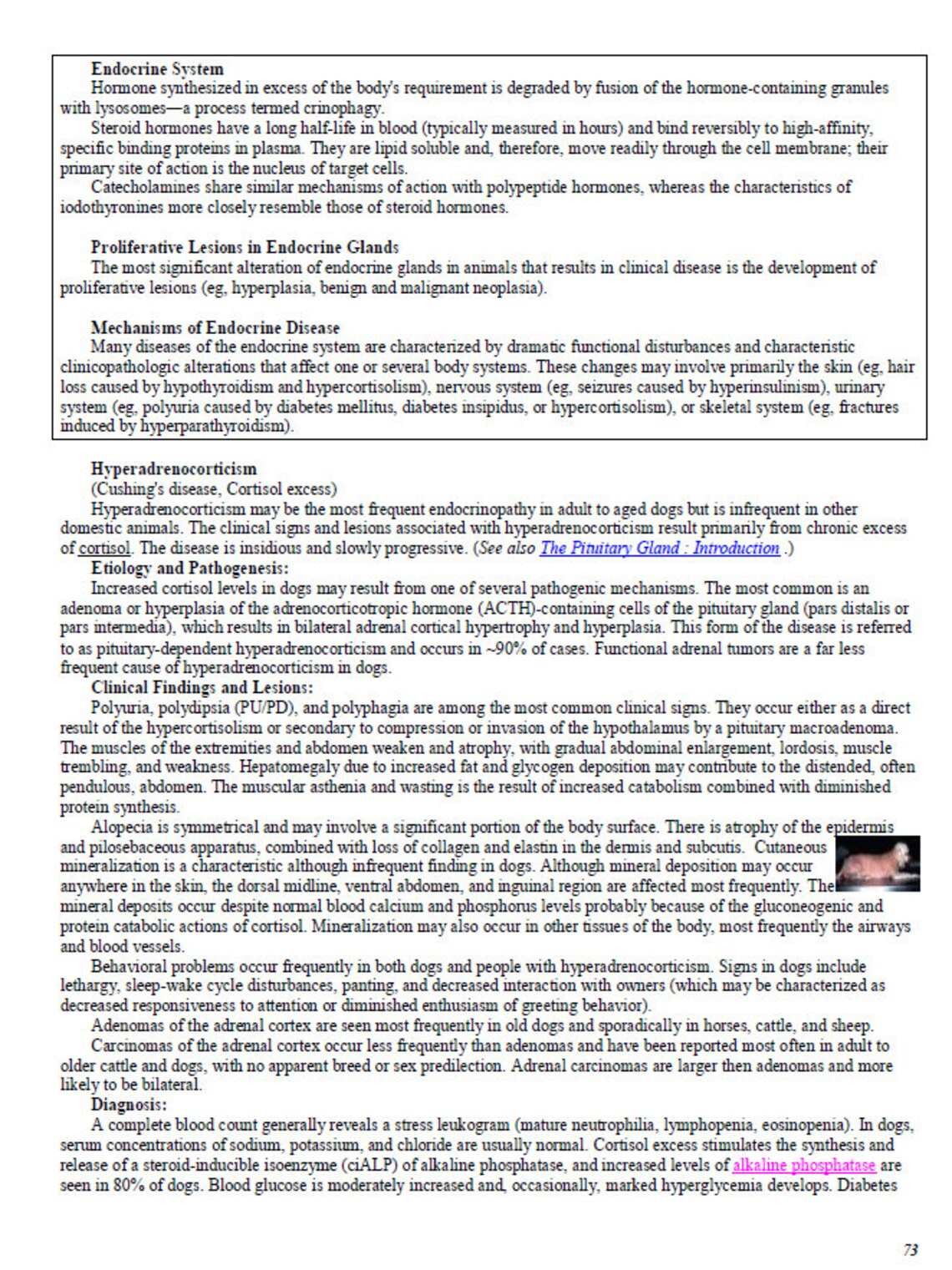 Comprehensive Vet School Notes Bundle Complete Study Companion for Vet ...