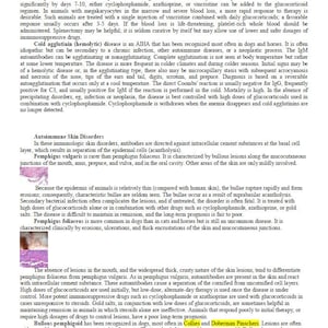 Comprehensive Vet School Notes Bundle for NAVLE Prep Complete Vet Med ...