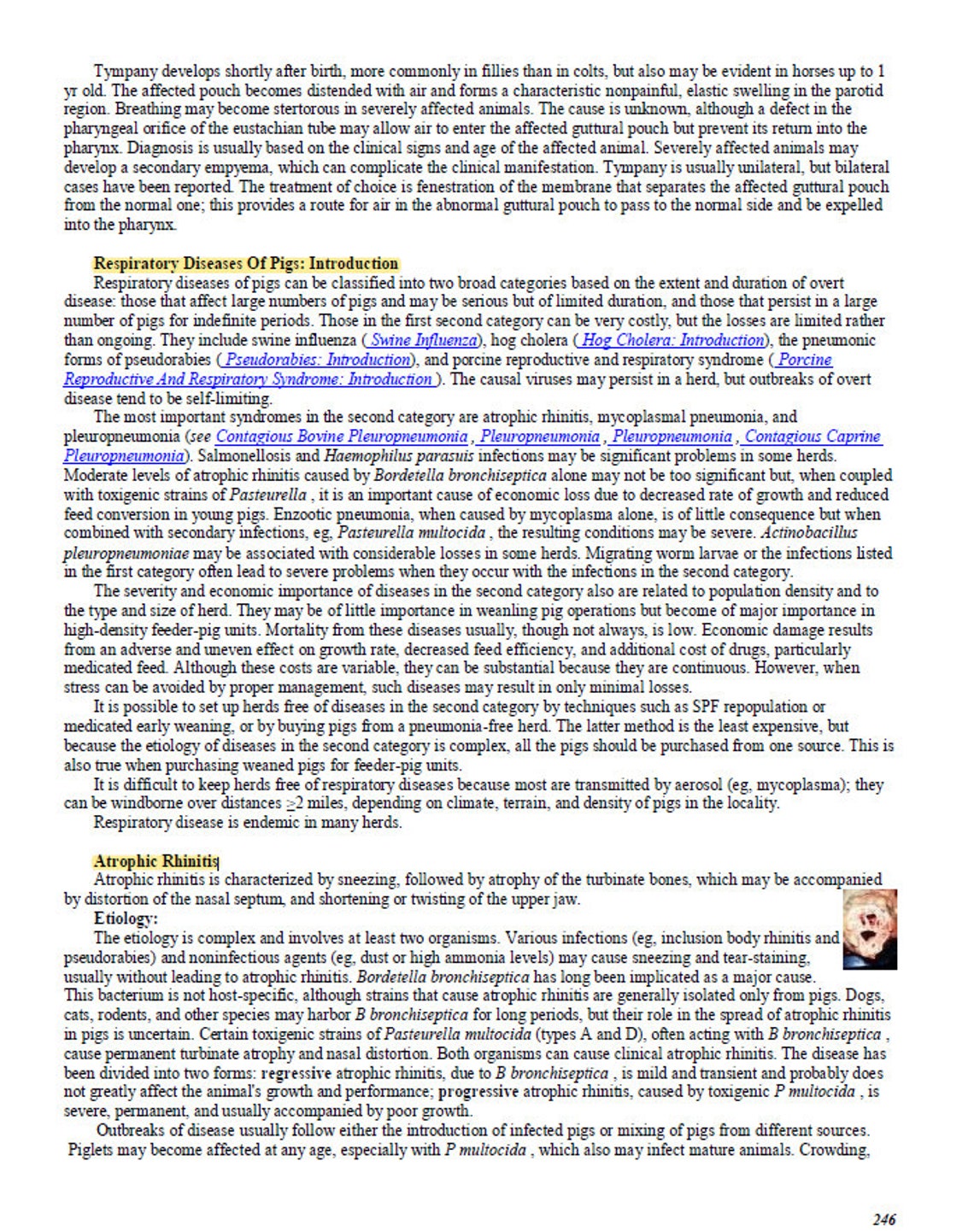 Comprehensive Vet School Notes Bundle for NAVLE Prep Complete Vet Med ...