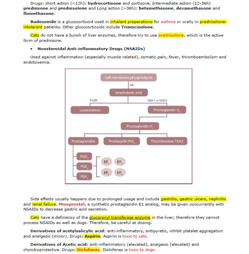 BCSE Pharmacology Vet Notes Comprehensive Vet Pharmacopeia - Etsy Canada