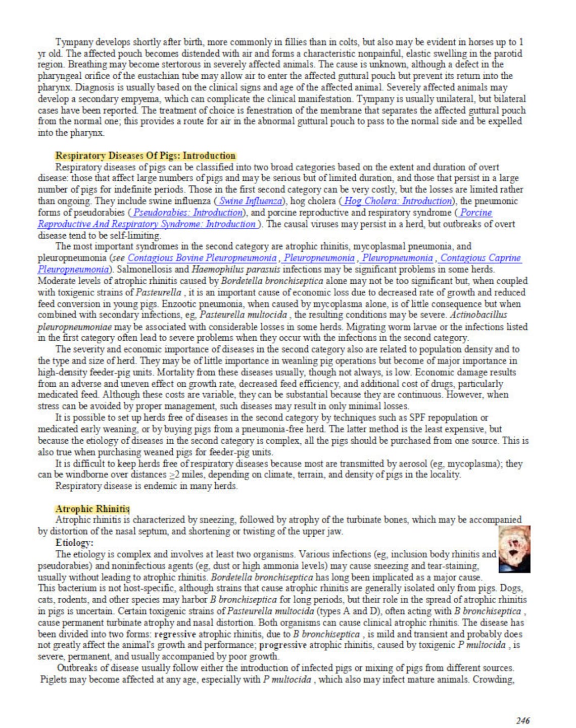 Comprehensive Vet School Notes Bundle Complete Study Companion for Vet ...