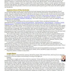 Comprehensive Vet School Notes Bundle Complete Study Companion for Vet ...