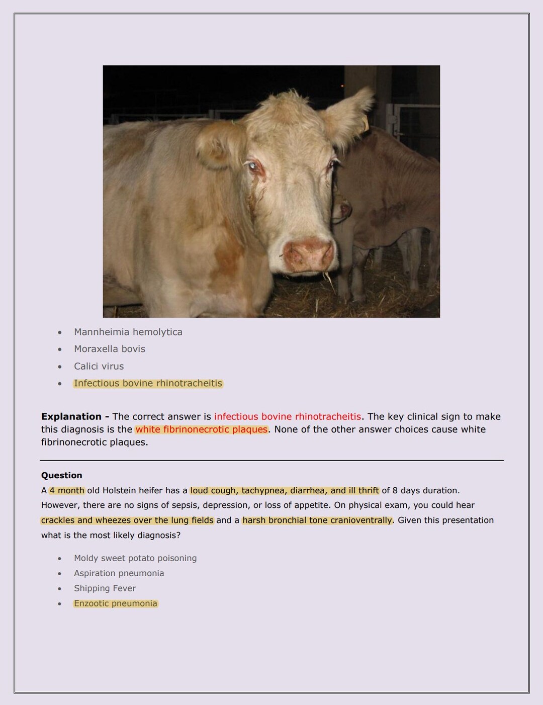 Ultimate Bovine NAVLE Questions Bank for NAVLE Prep Comprehensive NAVLE ...