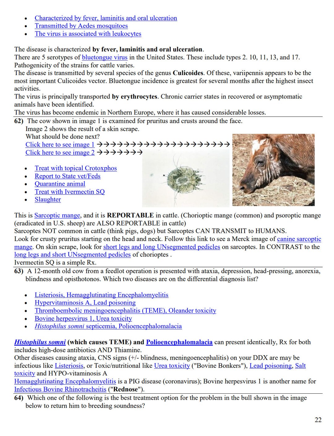 Ultimate Bovine NAVLE Questions Bank for NAVLE Prep Comprehensive NAVLE ...