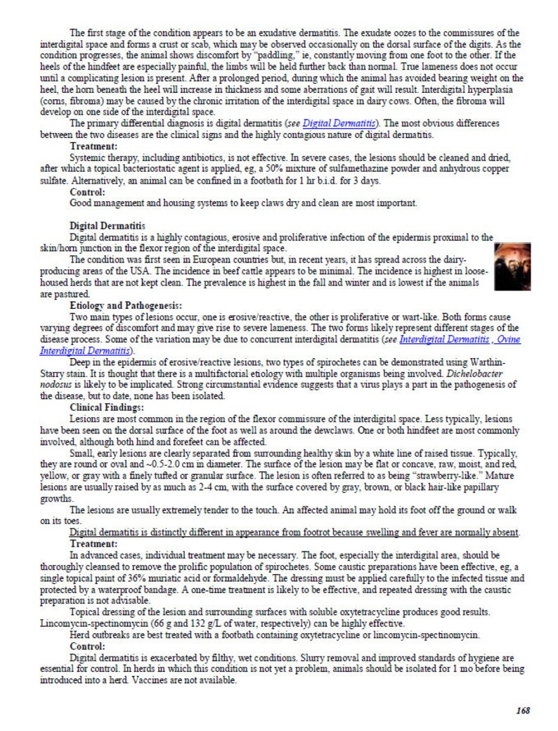 Comprehensive Vet School Notes Bundle for NAVLE Prep Complete Vet Med ...