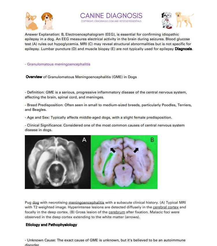 Canine Diagnosis for NAVLE Canine Diagnosis ICVA With 3 NAVLE Styled ...