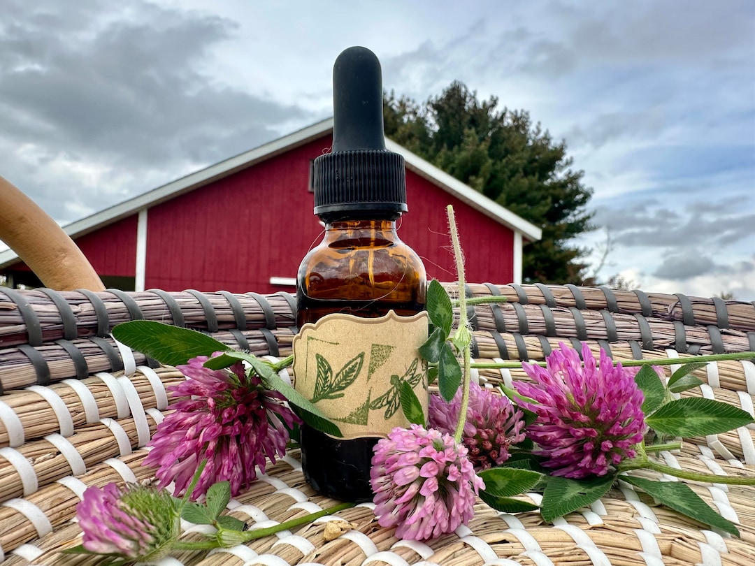 Red Clover Tincture, Small-batch Red Clover Tincture, Red Clover ...